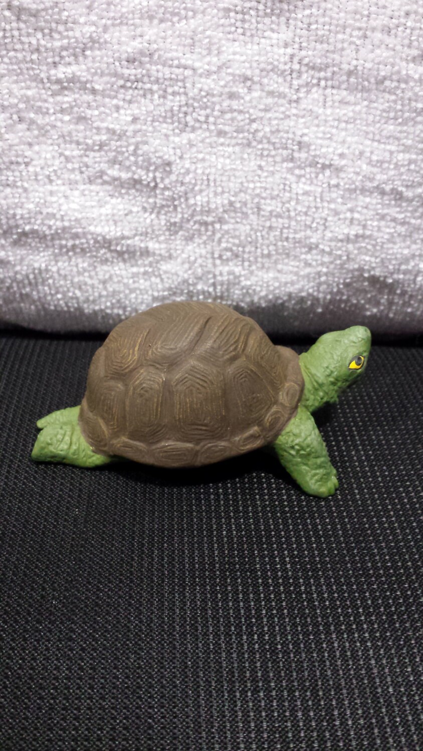 Ceramic Small Box Turtle With Head up 34C - Etsy