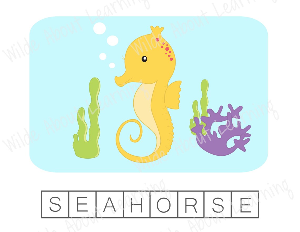 Ocean Preschool Kindergarten Learning Pack O is for Ocean Curriculum ...