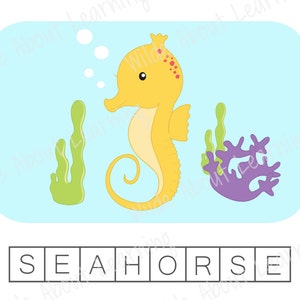Ocean Preschool Kindergarten Learning Pack O is for Ocean Curriculum ...