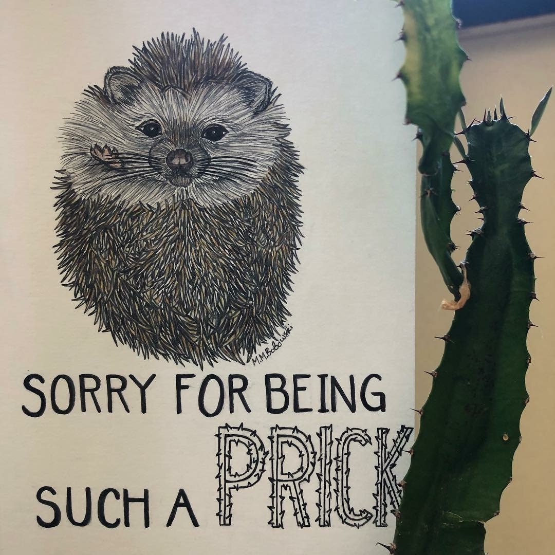 Greeting Card: Sorry Apology Hedgehog Prickly Pete I'm Sorry Blank Card ...