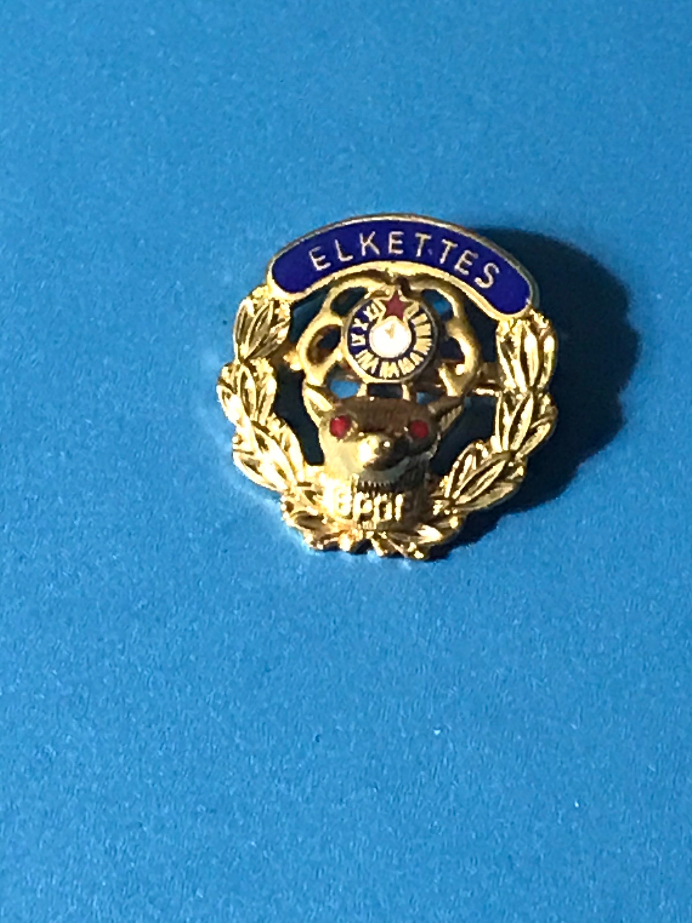 Vtg Elks Lodge Womens Elkettes BPOE Enamel Repousse 3D Pin - Etsy