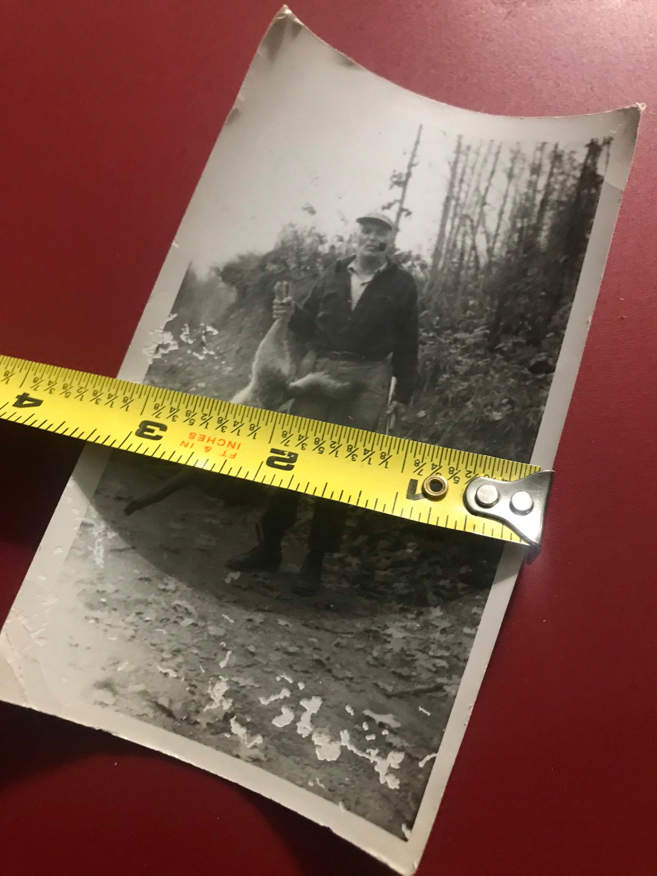Vintage Man W/rifle & Pipe HUNTING ORIGINAL PHOTOGRAPH Wolf/fox Carcass ...