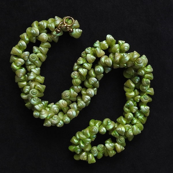 Trochus Shell - Etsy