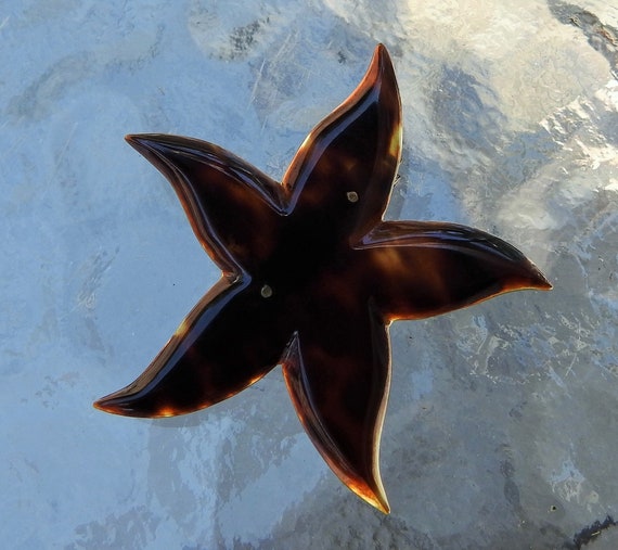 Vintage Timi's Studio Tortoise Shell Originals Bohemi… - Gem