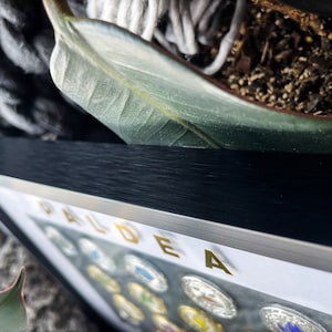 Complete 18 Gym Badges Paldea Scarlet & Violet Exclusively Made Enamel ...