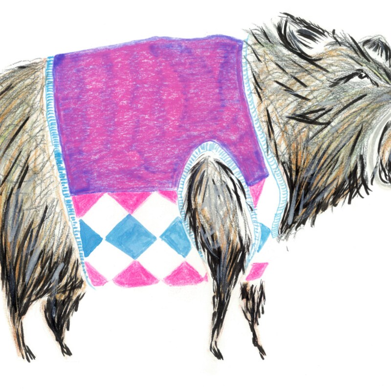 BirdsDoingYoga - Etsy