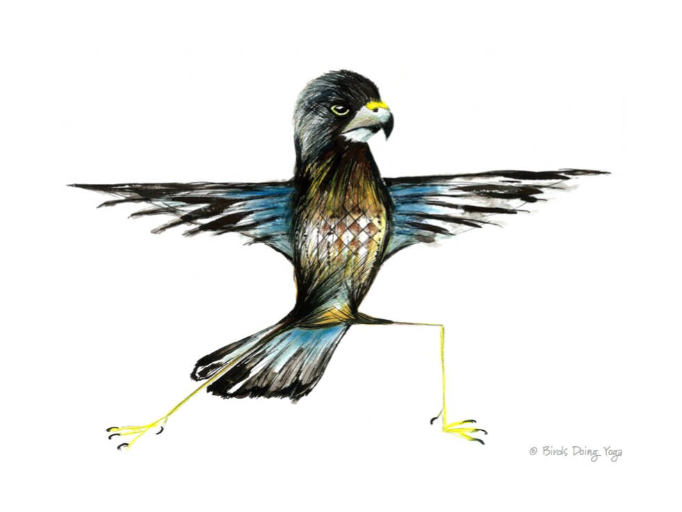 Hawk in Two - Etsy