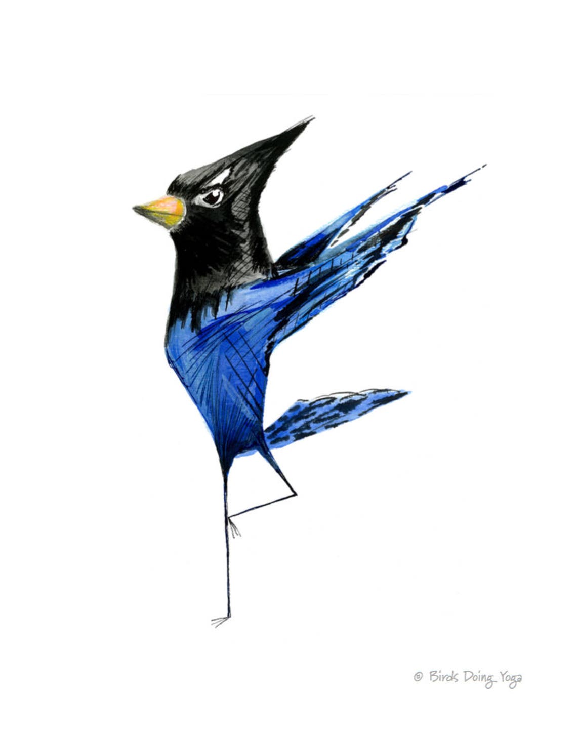 Stellar Jay in Tree - Etsy