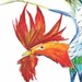 Floating Rooster - Etsy