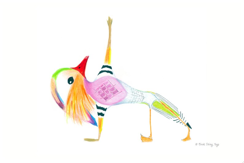 Mandarin Duck Fallen Triangle - Etsy