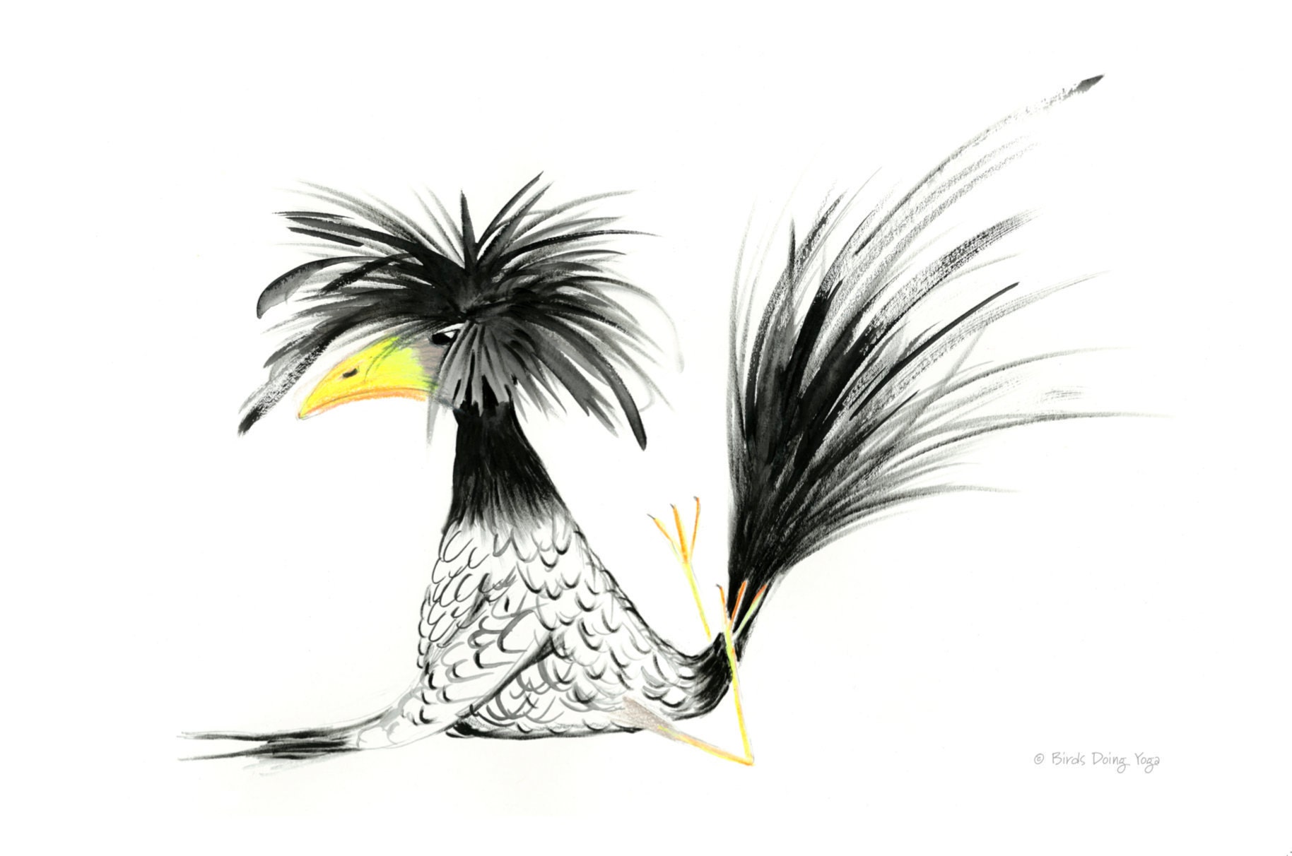 Polish Chicken in Cobra - Etsy