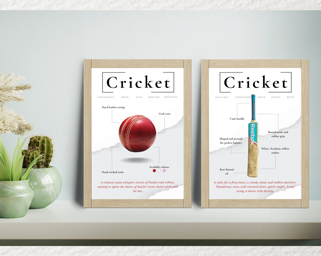 Cricket Bat, Cricket Ball Print Poster, Perfect for Any Cricket Player ...