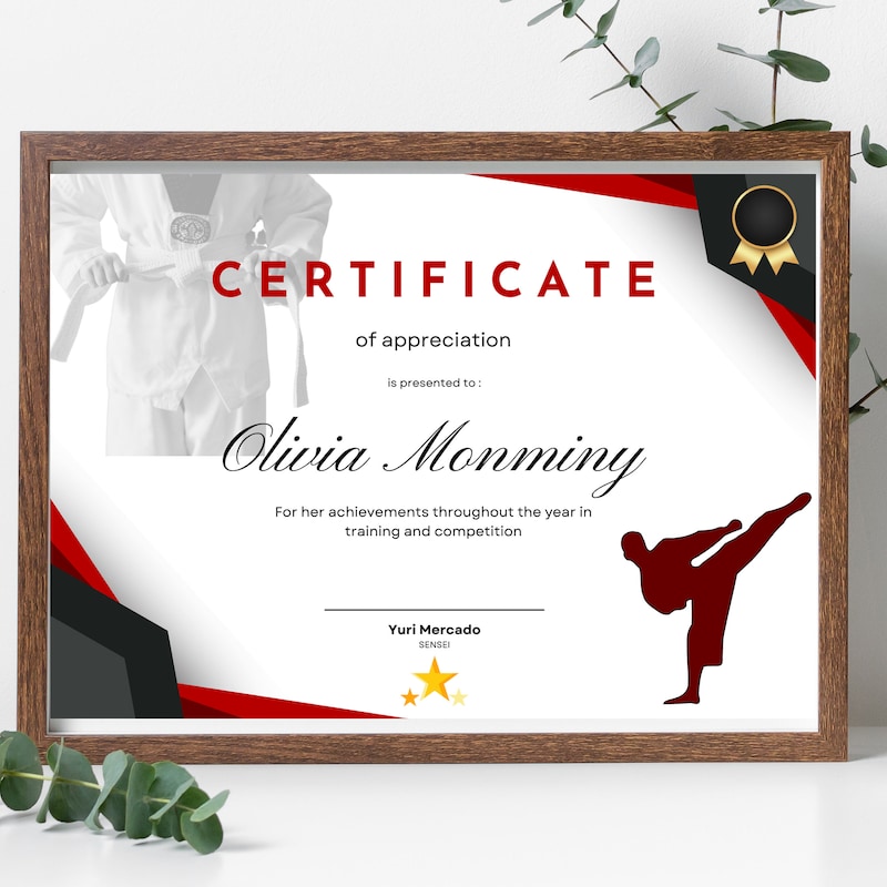 Karate Certificate - Etsy