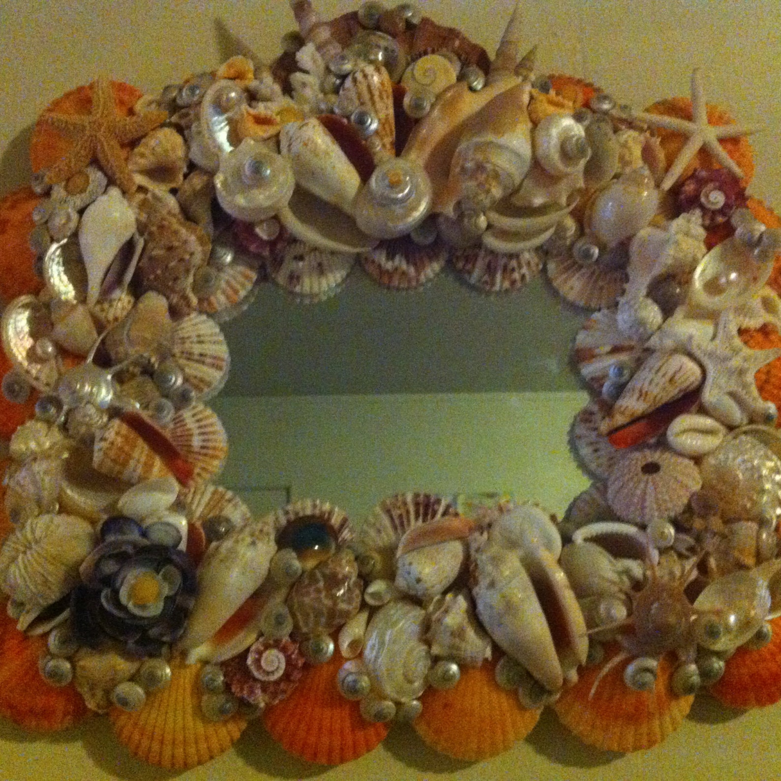 Exotic Seashell Decor Small 9 X 12 Inches Mirror With Natural Orange ...