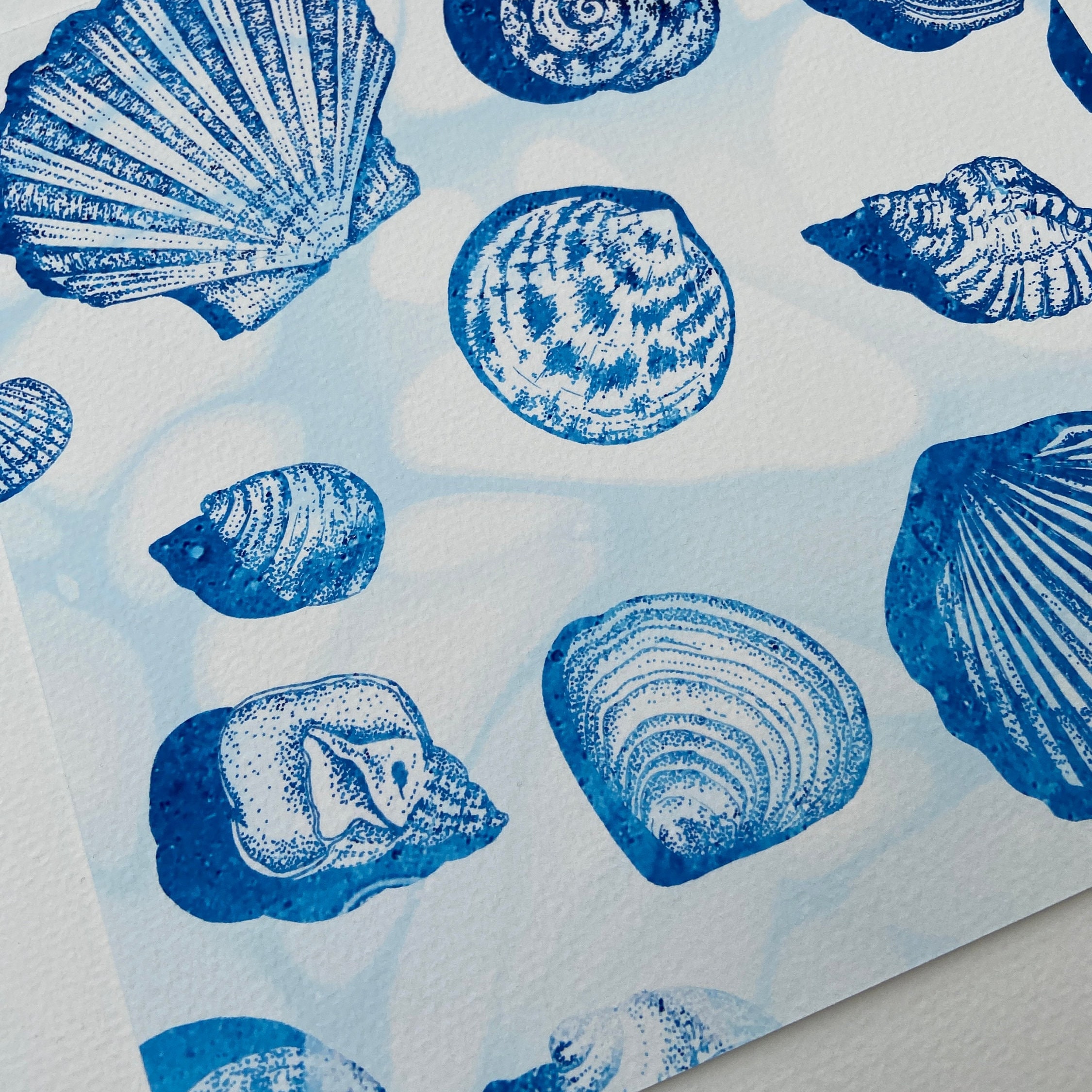 Limited Edition Fine Art Print Shells Illustrated Print - Etsy
