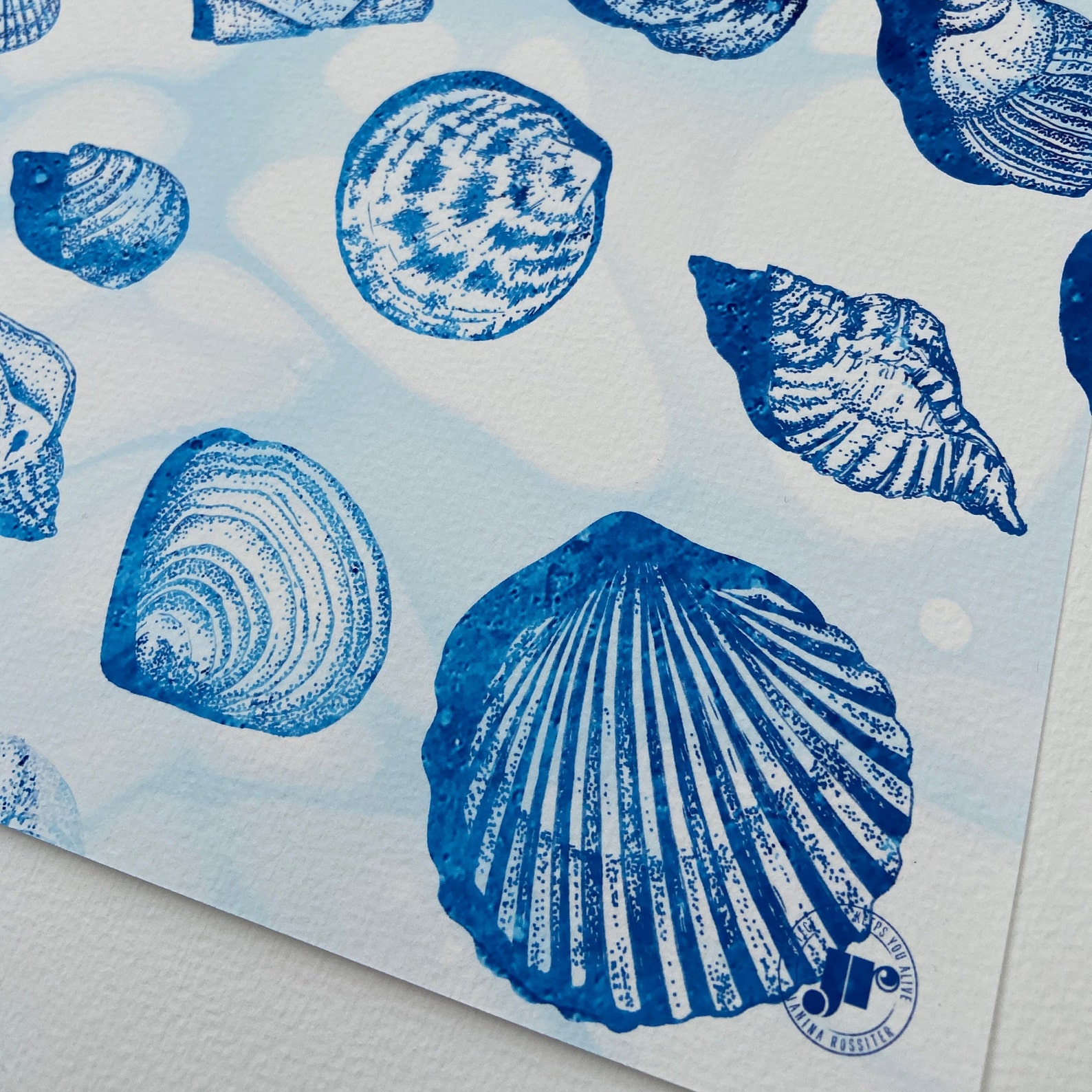 Limited Edition Fine Art Print Shells Illustrated Print - Etsy