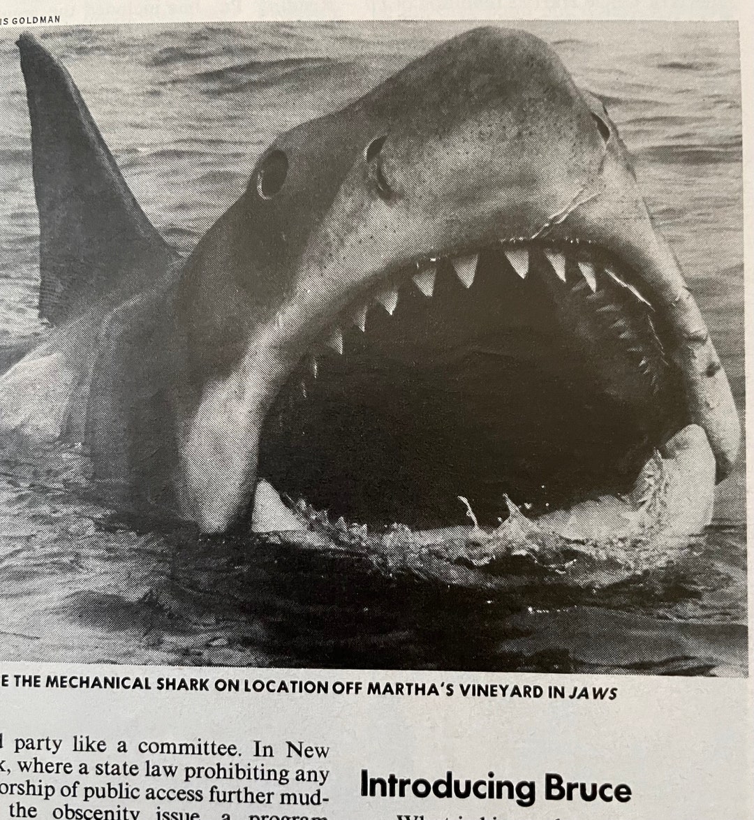 Two 1974 & 1975 TIME Magazines! JAWS Articles! Introducing Bruce! JAWS ...
