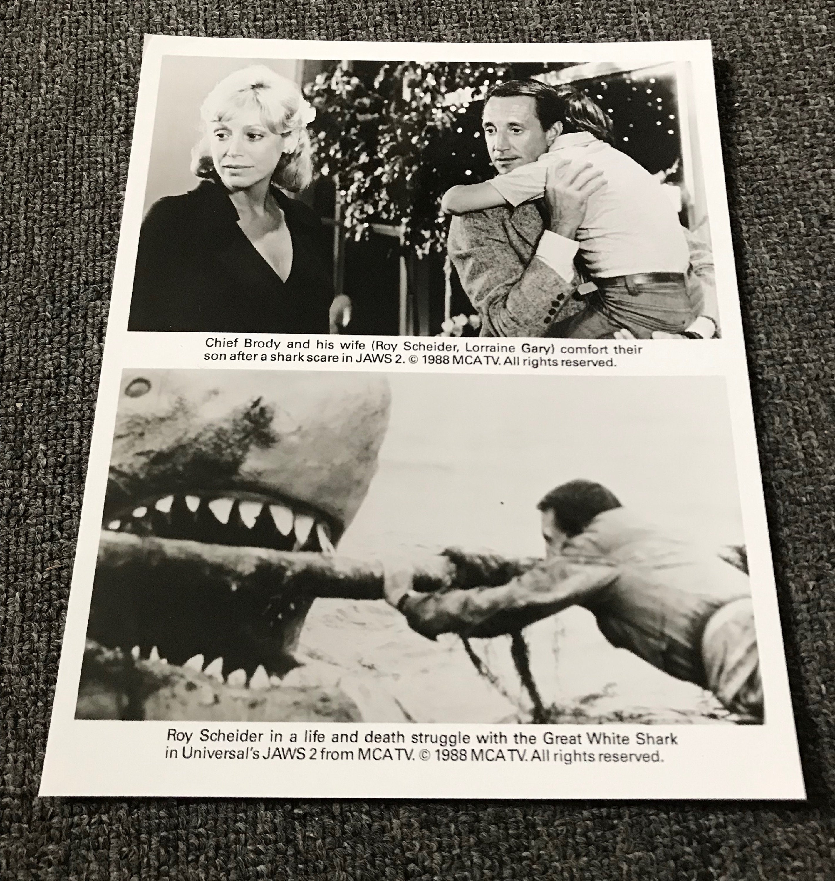Roy Scheider Jaws 2