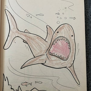 1978 JAWS 2 Coloring Book John Hancock Un-made Movie & Paperback Novel ...