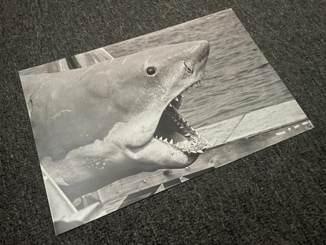 Rare Edith Blake JAWS Glossy 1974 Photo Mechanical Shark Behind the ...