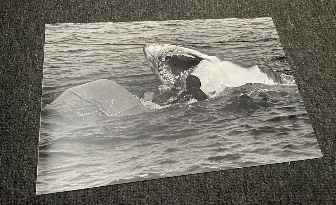 Rare Edith Blake JAWS Glossy 1974 Photo Behind the Scenes Teddy ...