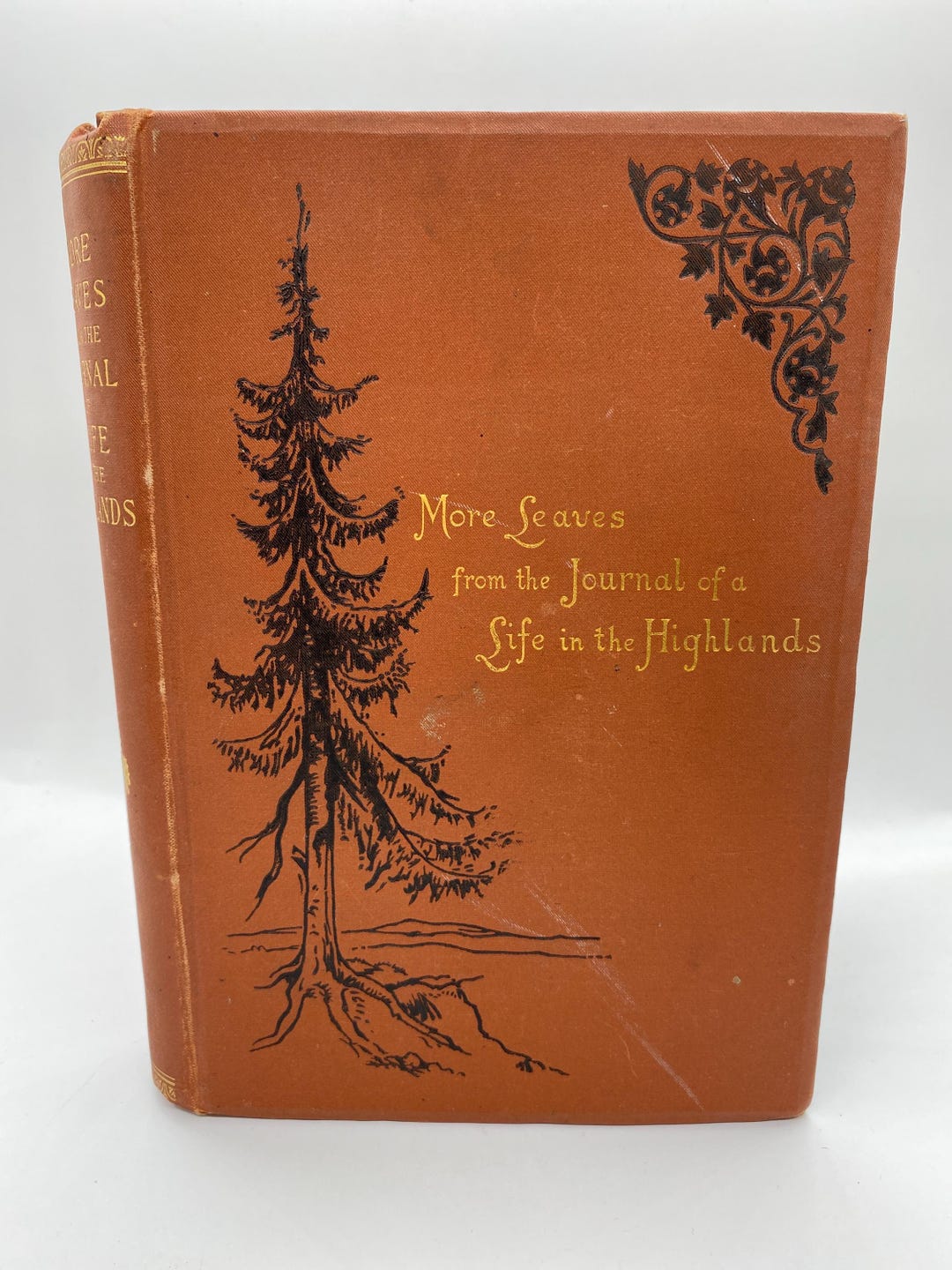 Scottish Highlands, Queen Victoria, Diary Antique Book 1884 V3 - Etsy