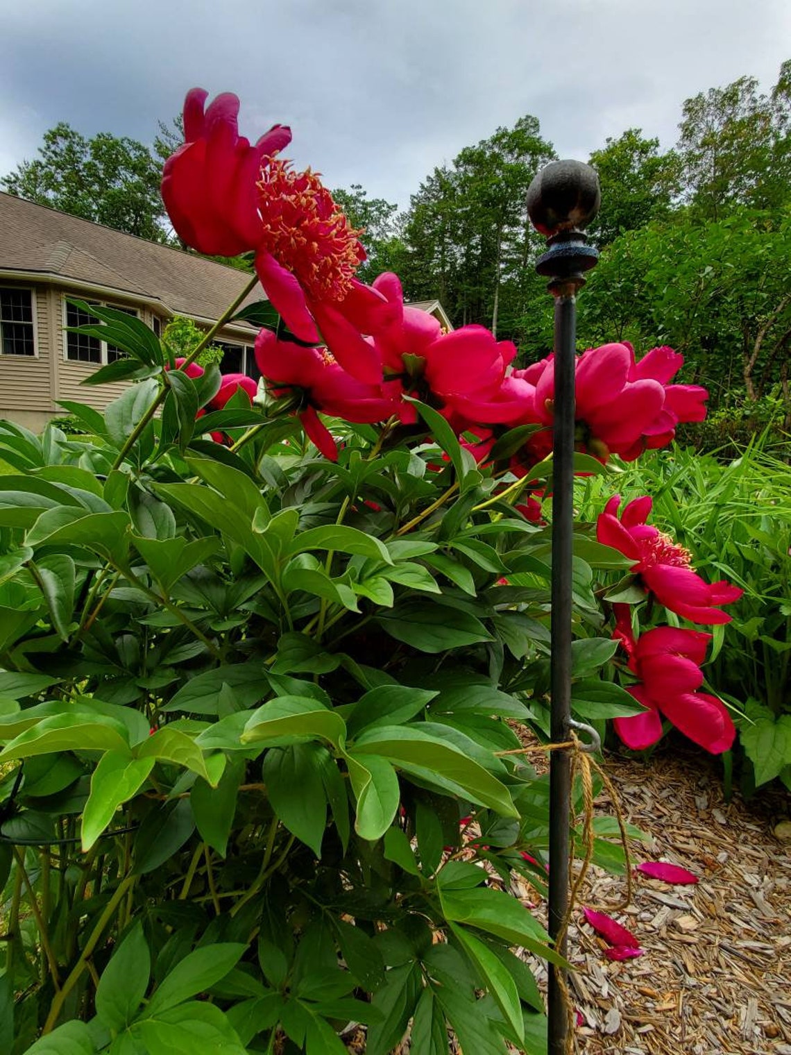 Set of 3 - 40" Ball Garden Stakes With Tie Loop - Garden Stakes - Plant ...