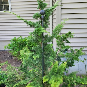 Sets of 5' Hammerable Garden Stakes - Tree Stake - Driveway Marker ...