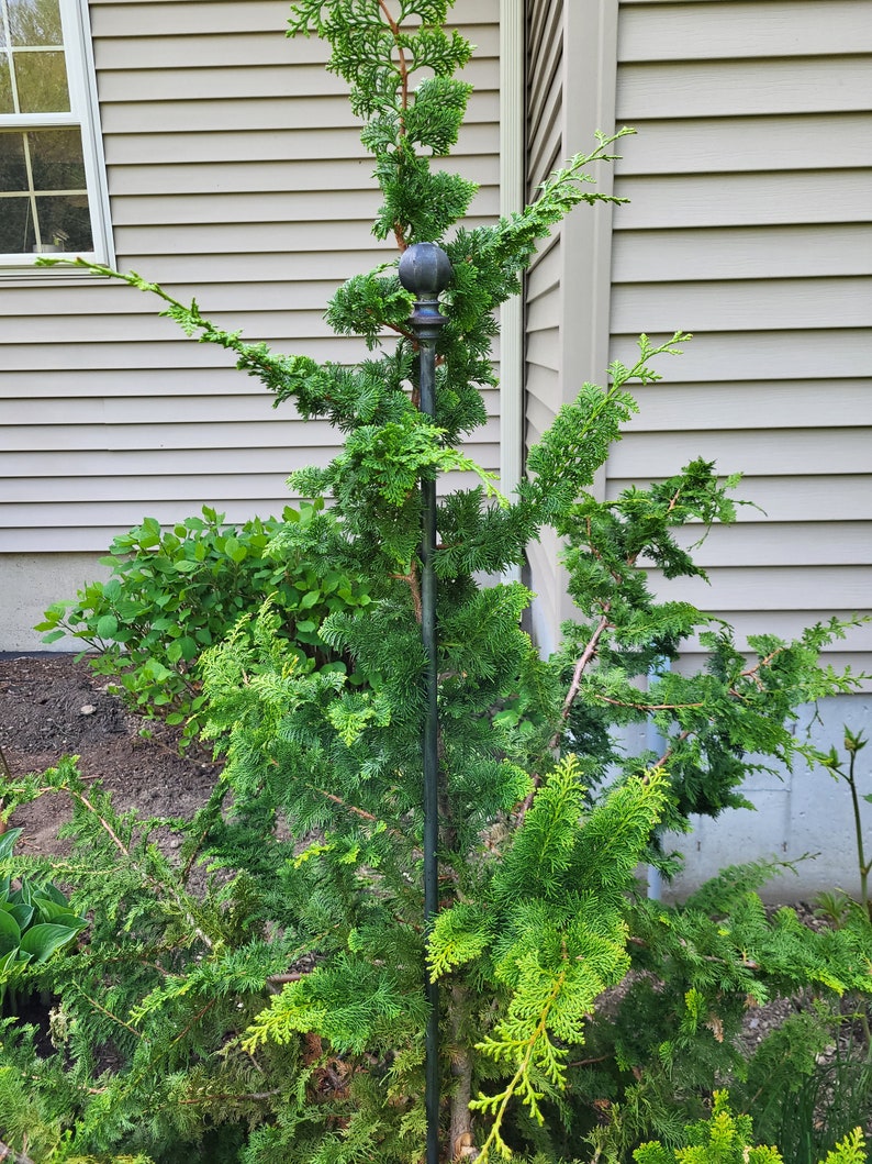 Sets of 5' Hammerable Garden Stakes - Tree Stake - Driveway Marker ...