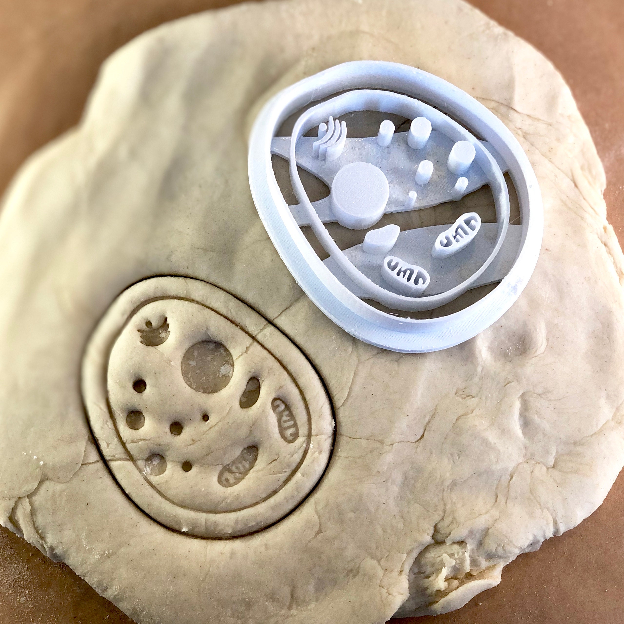 Bacteria Cookie Cutter Cute Cutter Biscuit Fondant | Etsy