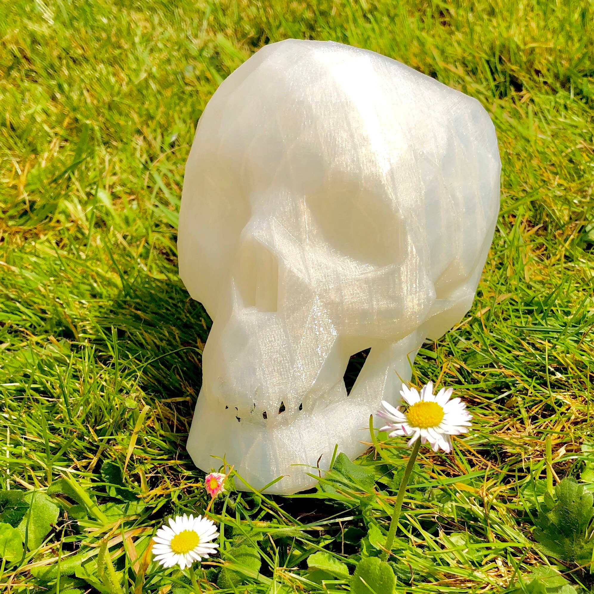 Skull Low Poly Pen Holder Large Gothic Desk Tidy Desk | Etsy