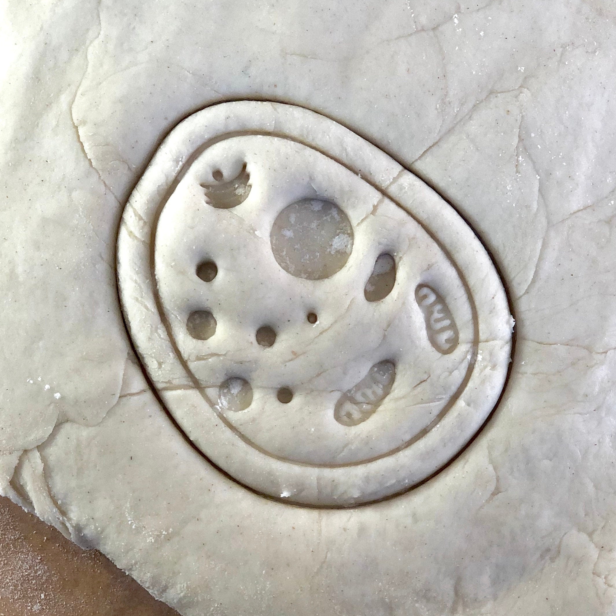 Bacteria Cookie Cutter Cute Cutter Biscuit Fondant | Etsy