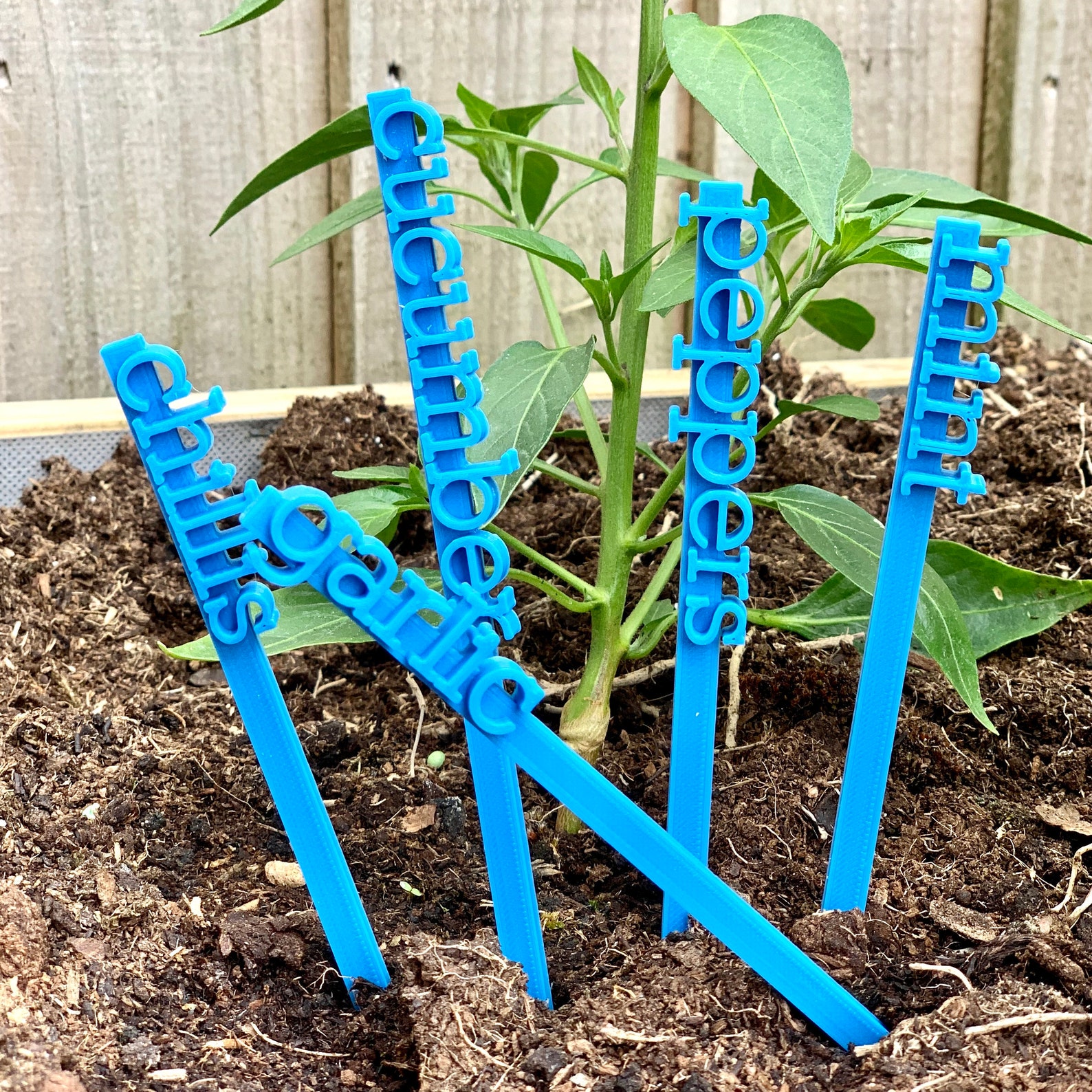 Garden Vegetable Markers Name Stakes Sticks 3D Printed | Etsy