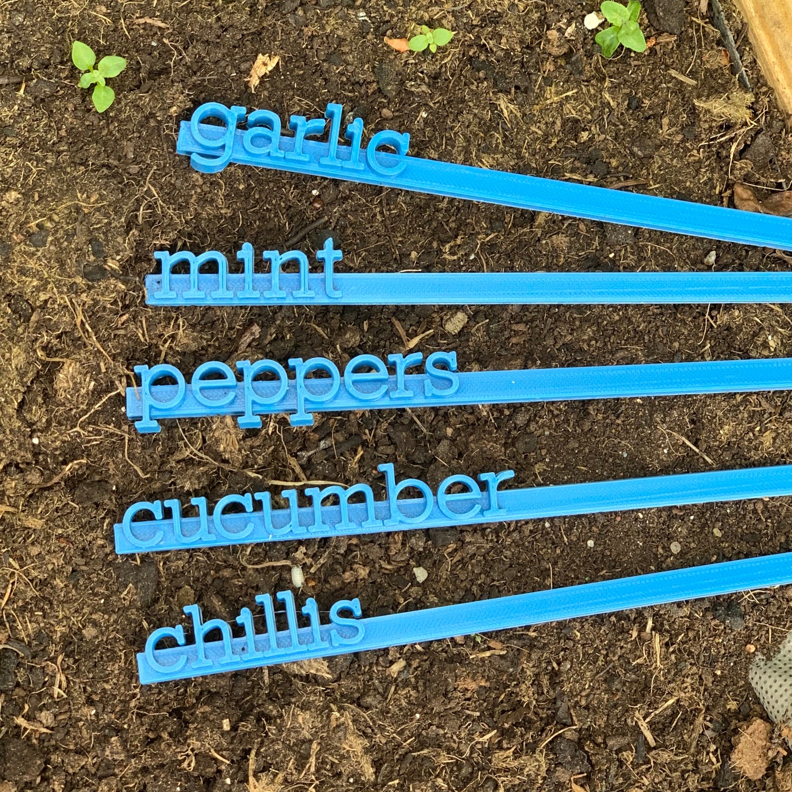 Garden Vegetable Markers Name Stakes Sticks 3D Printed | Etsy