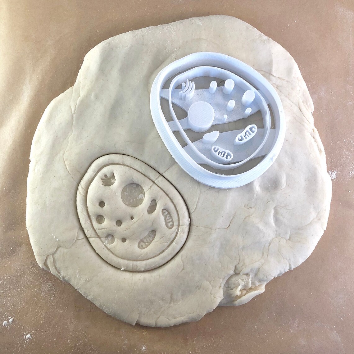 Bacteria Cookie Cutter Cute Cutter Biscuit Fondant | Etsy