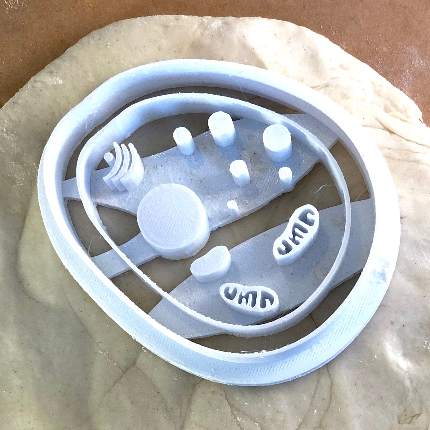 Bacteria Cookie Cutter Cute Cutter Biscuit Fondant | Etsy