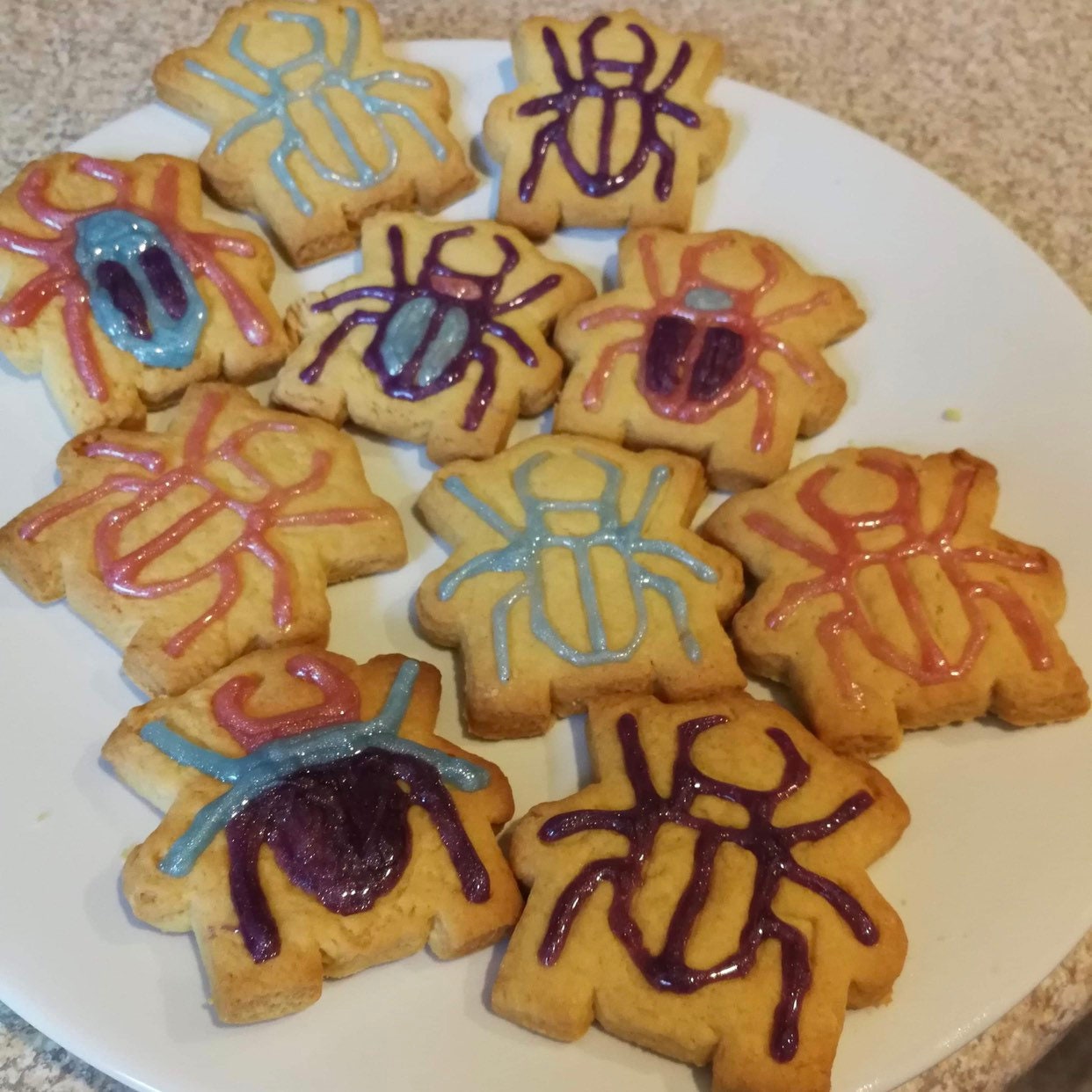 Beetle Bug Cookie Cutter Cute Cutter Biscuit Fondant | Etsy