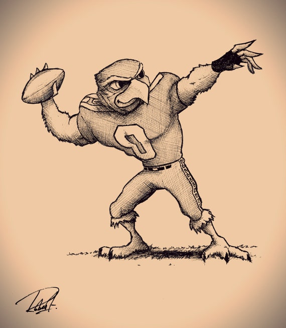 Seattle Seahawks Cartoons