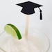 15 Graduation Cap Swizzle Sticks - Drink Stirrer - Cap and Gown ...