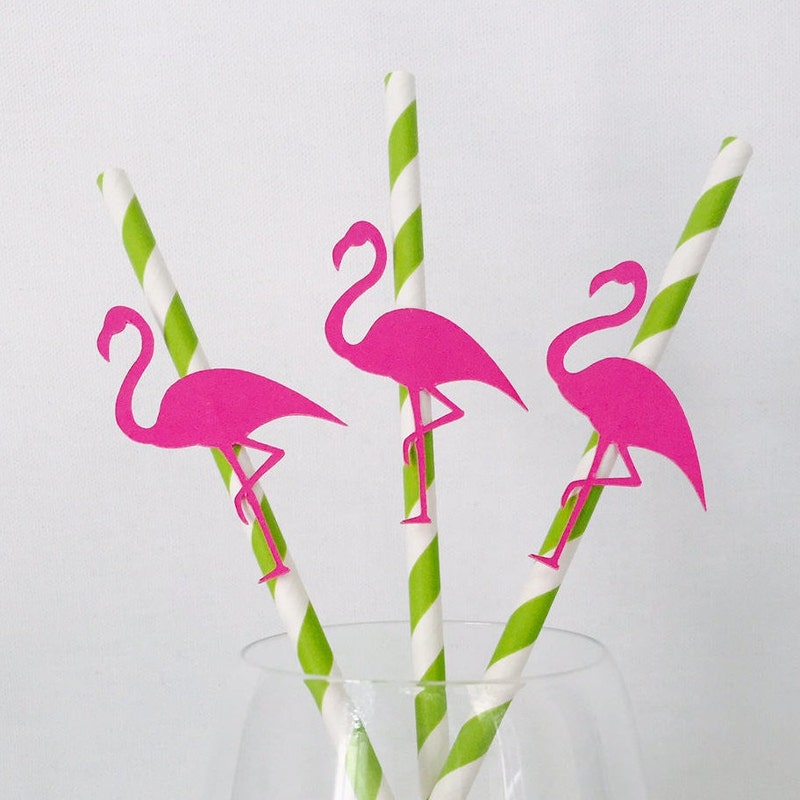Flamingo Straws - Etsy