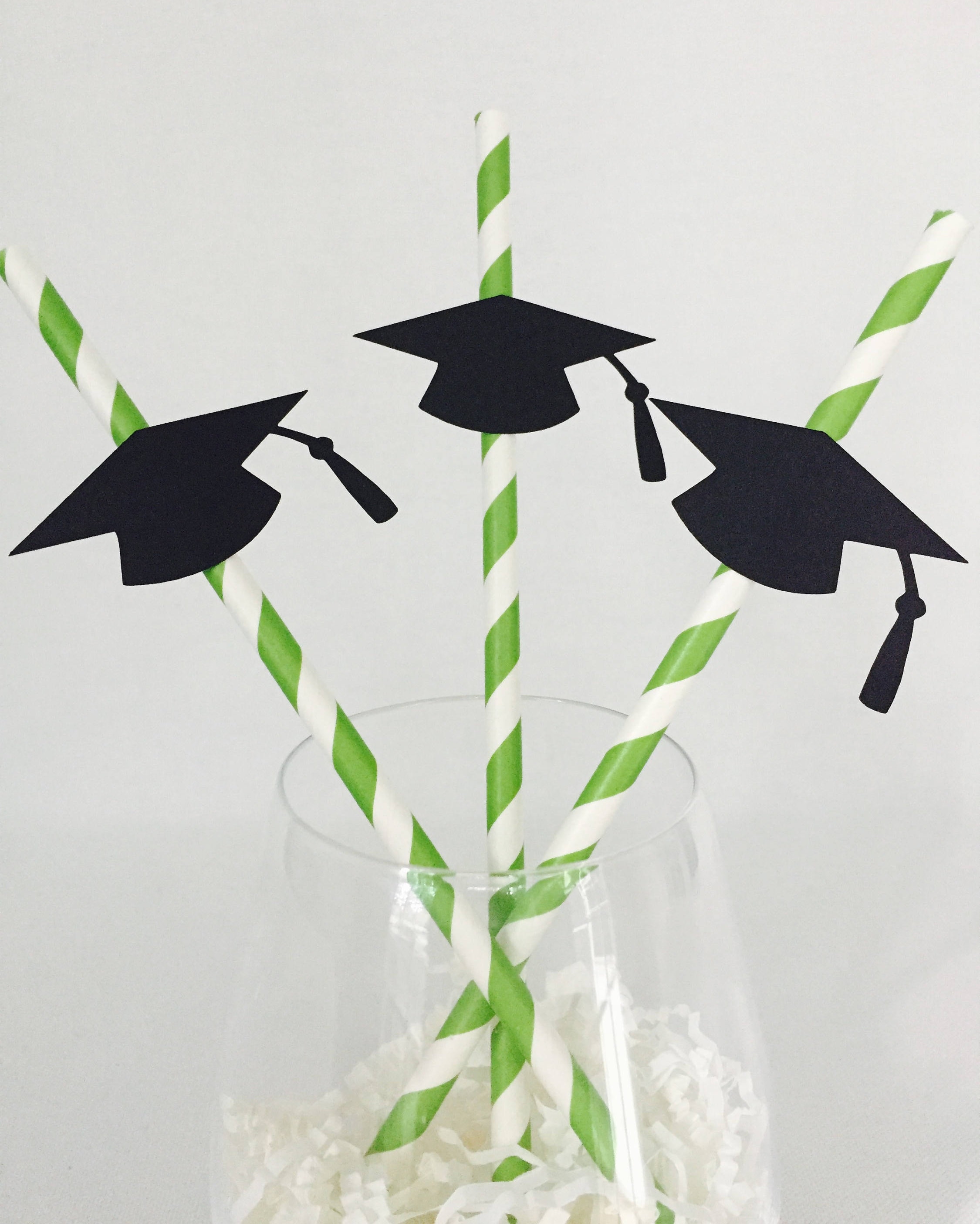 12 Graduation Cap Party Straws Cap and Gown Graduation | Etsy
