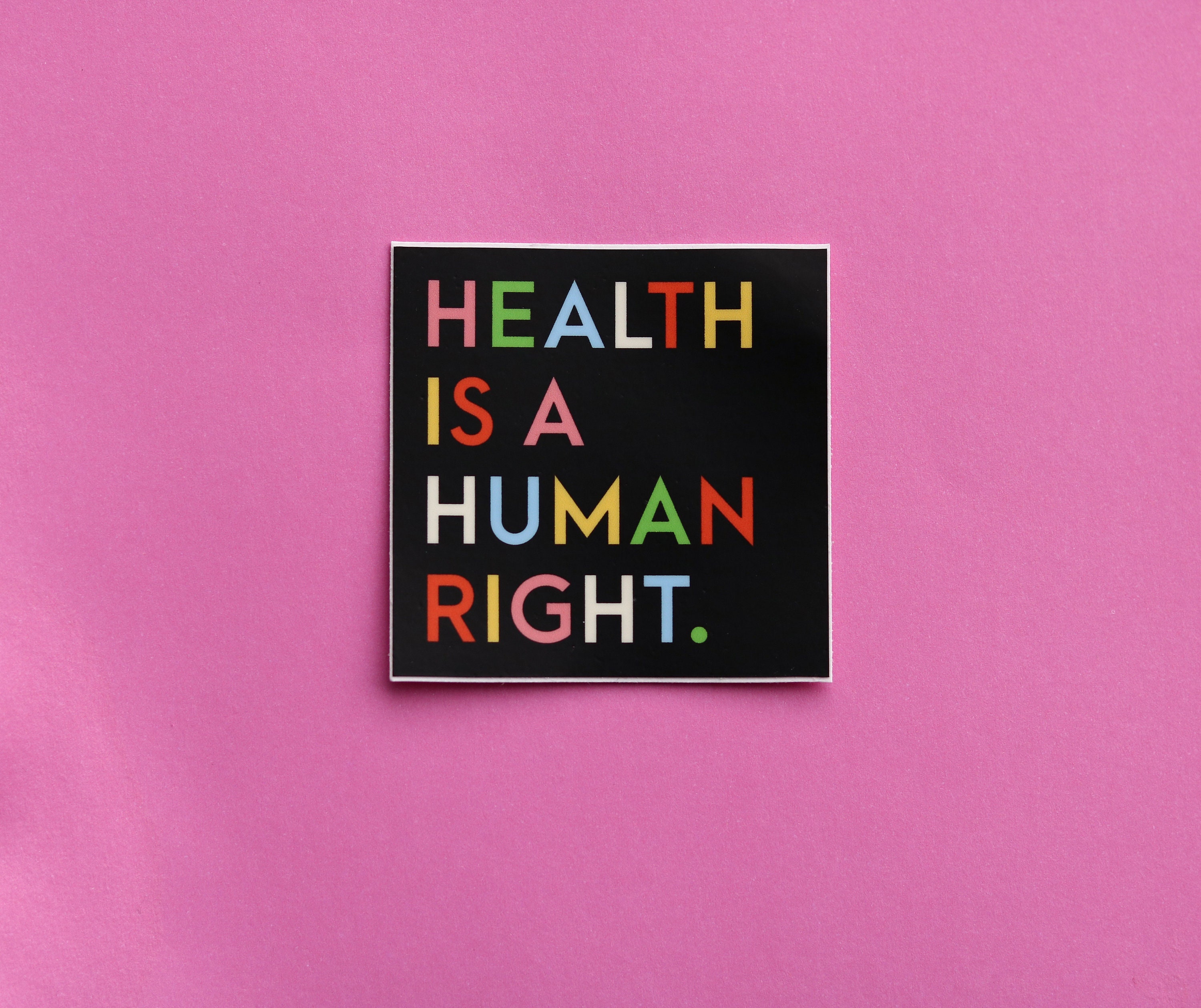 Health is a Human Right Rainbow Matte Vinyl Sticker / | Etsy