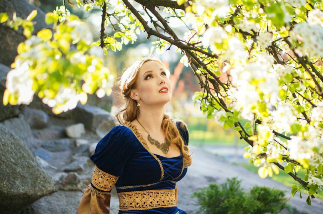 Blue Velvet Renaissance Dress, 16th Century Dress, Italian Renaissance ...