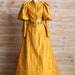 Crimson Peak Silk Edwardian Dress, Historical Costume, Edith Cushing's ...