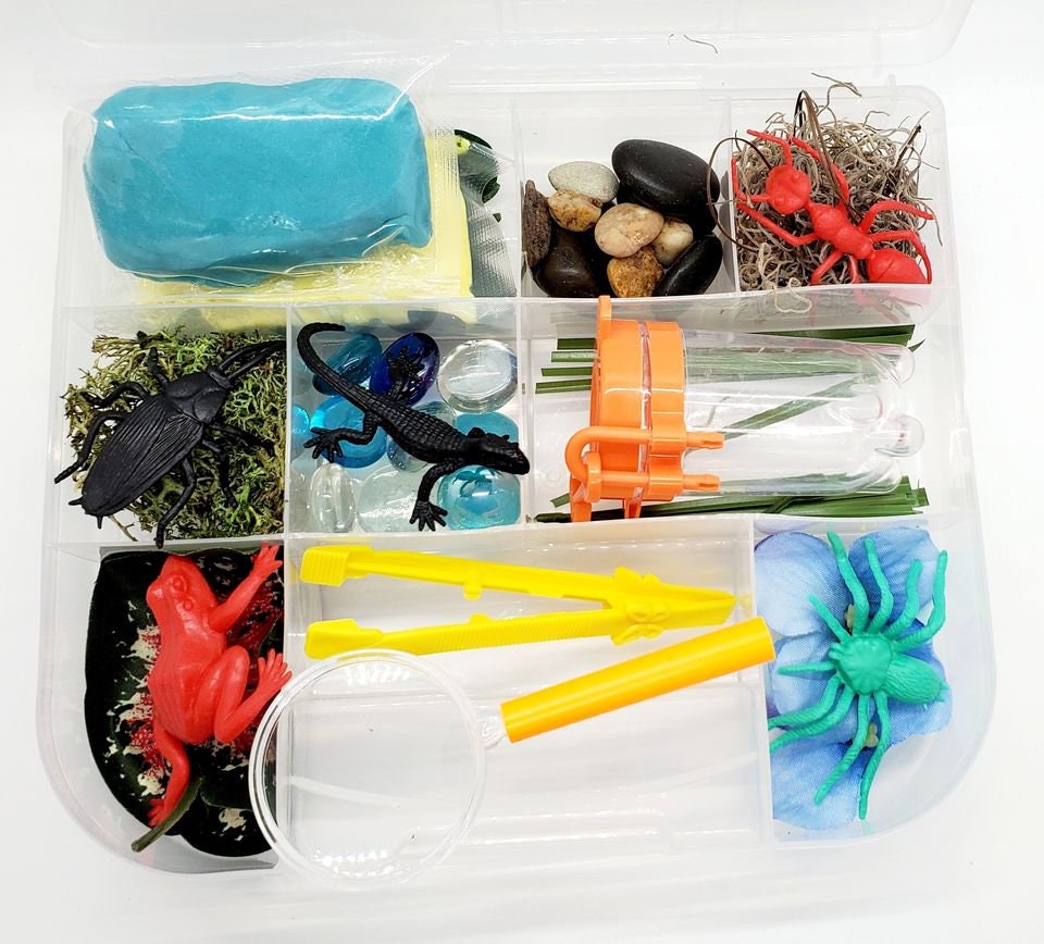 Insect Playdough Sensory Kit - Etsy
