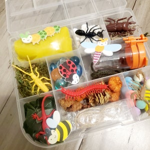 Insect Playdough Sensory Kit - Etsy