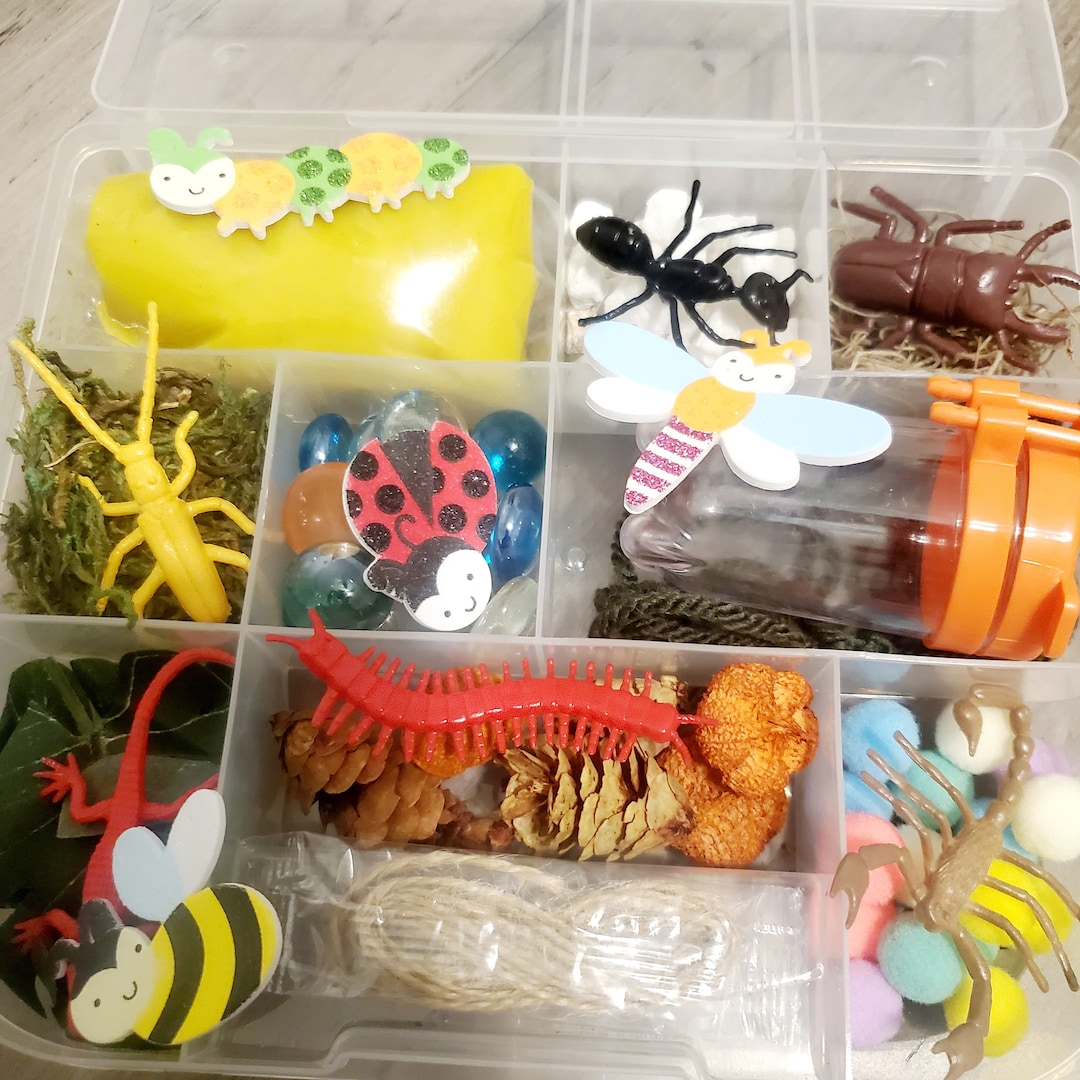 Insect Playdough Sensory Kit - Etsy