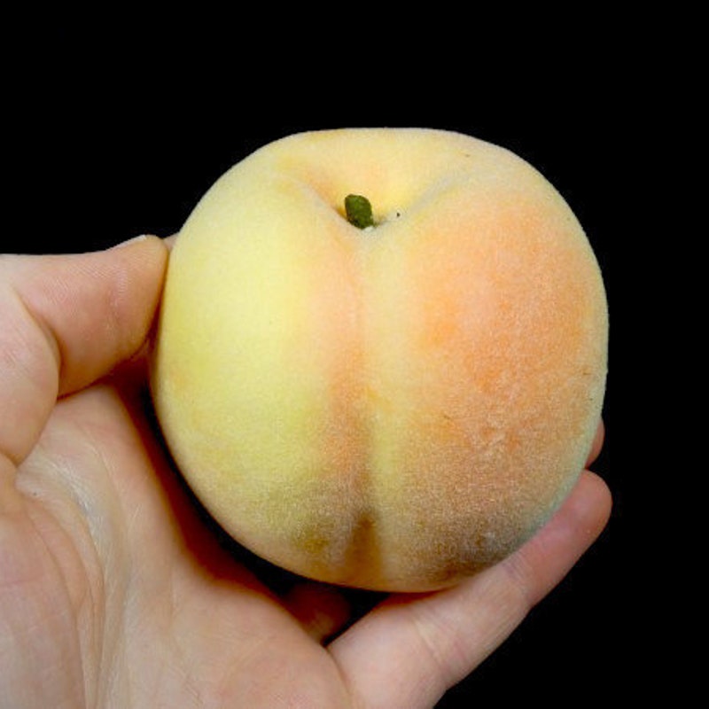 Artificial Realistic Fruit - Etsy