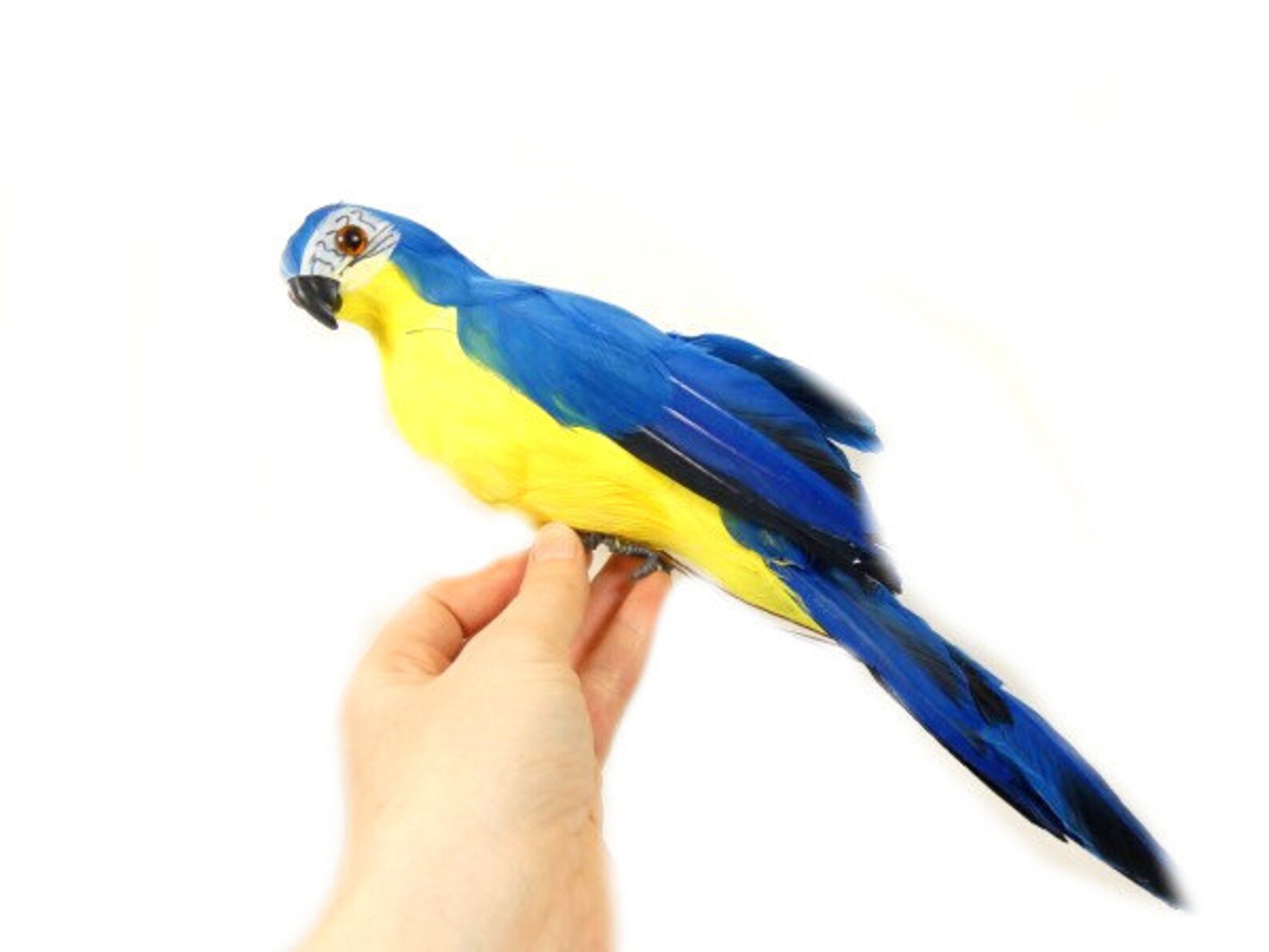 1 Big Parrot Artificial Bird Artificial Parrot Cake Topper Craft ...