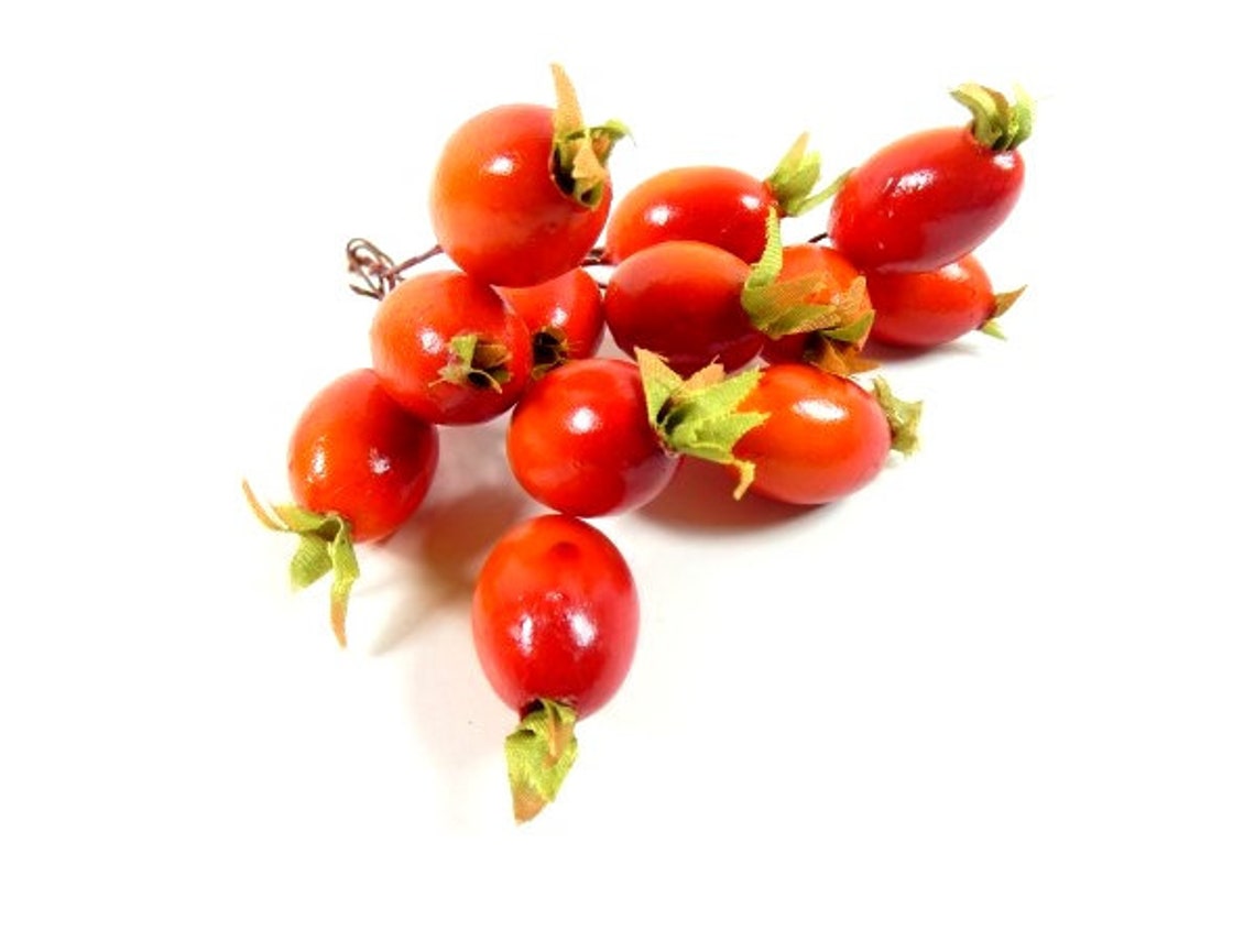 Set of 12 Oval Orange Red Artificial Berries Scrapbooking - Etsy